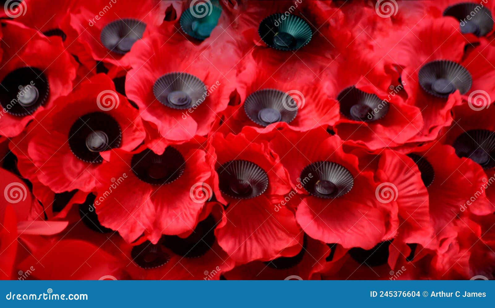 Creative Remembrance Day stock photo. Image of card - 245376604