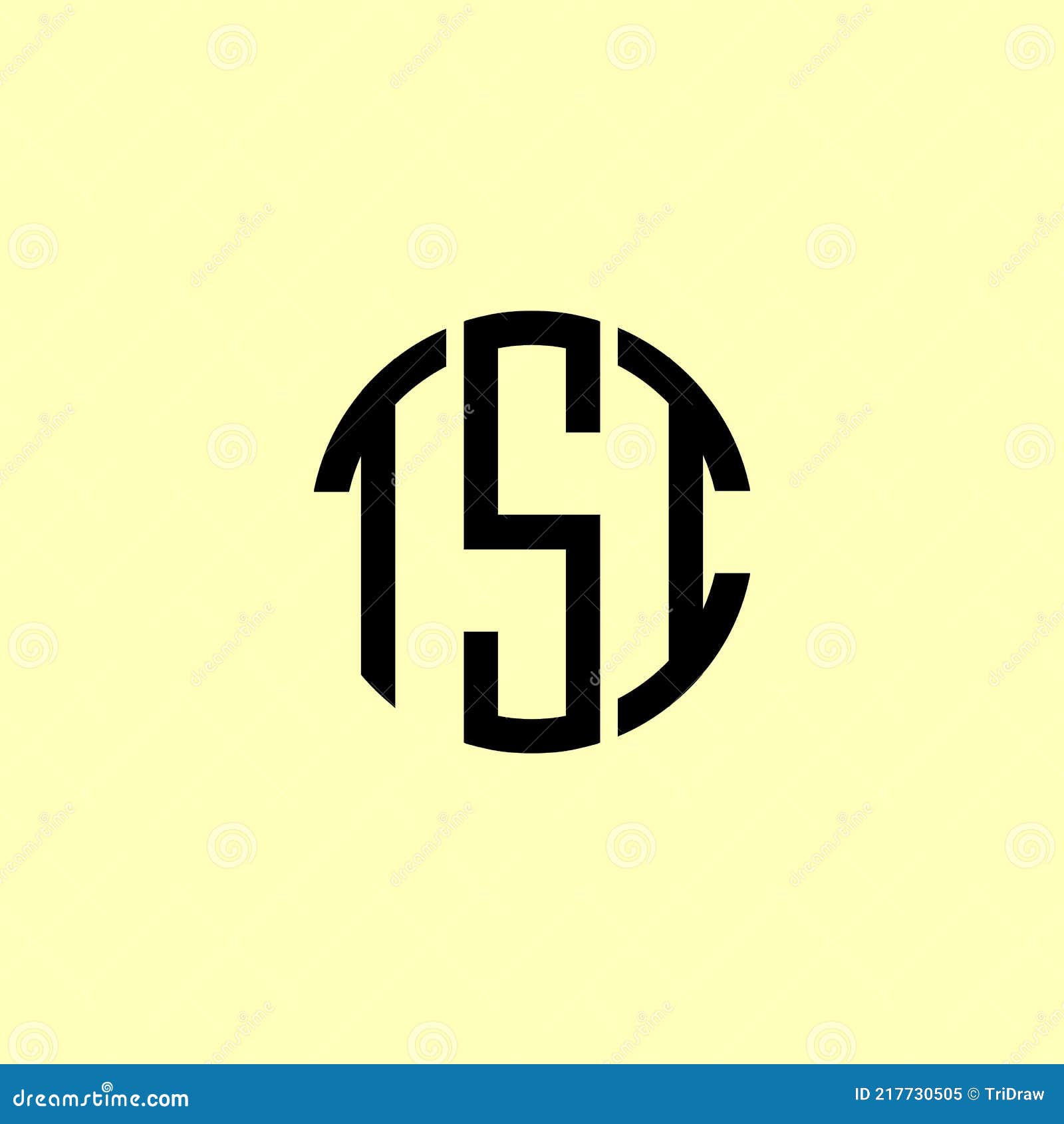 Tsi Usa Logo Profile For TsiDigita LSolution