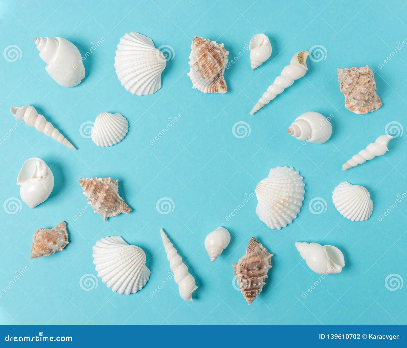 Creative Seashell Pattern on Pastel Blue Background with Copy Space ...