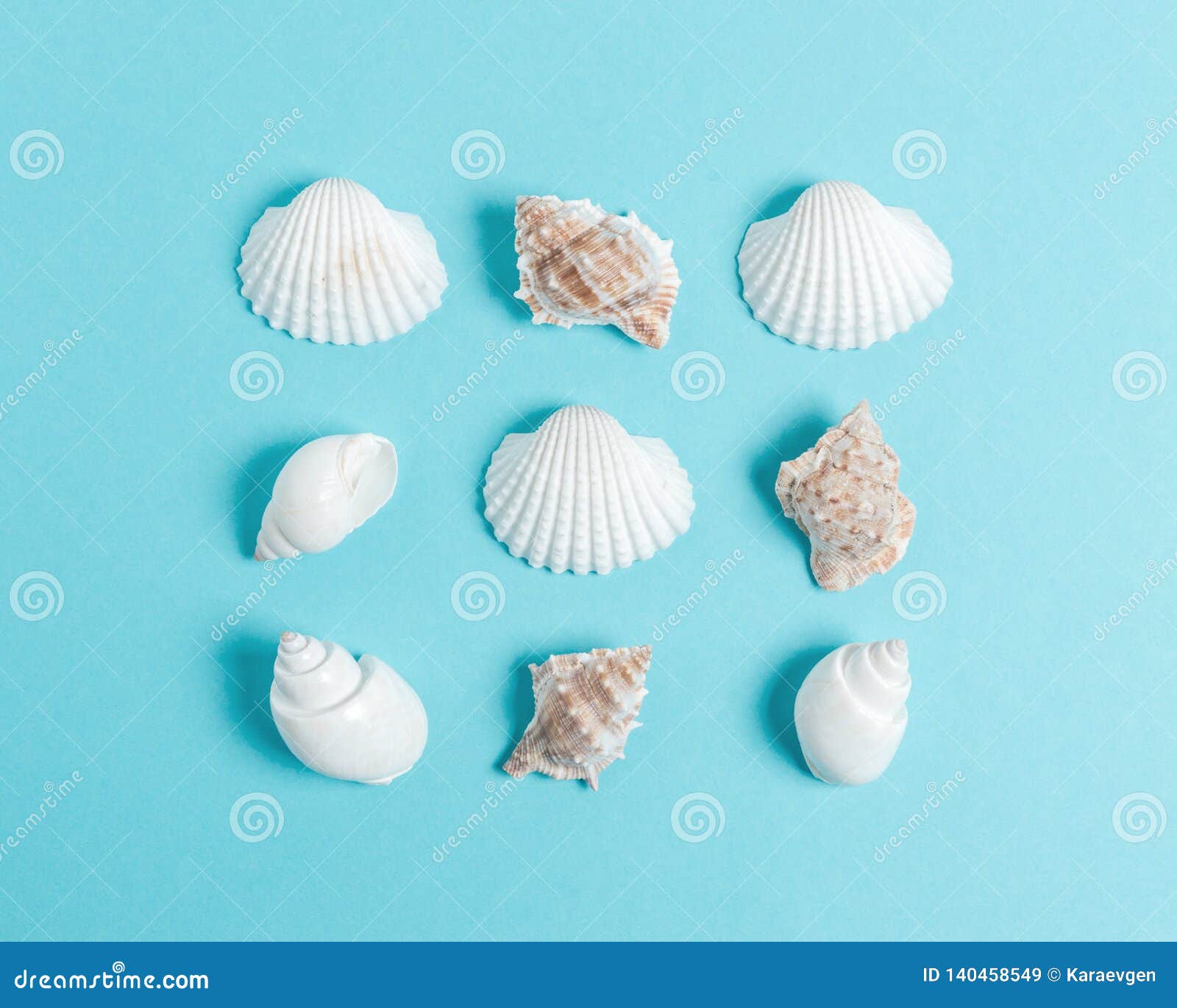 Creative Seashell Pattern on Pastel Blue Background. Summer Minimal ...