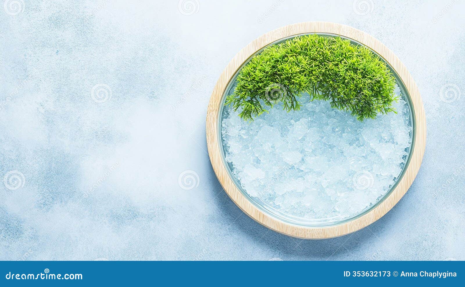 Creative And Serene Nature Inspired DIY Craft Featuring Moss And Salt ...