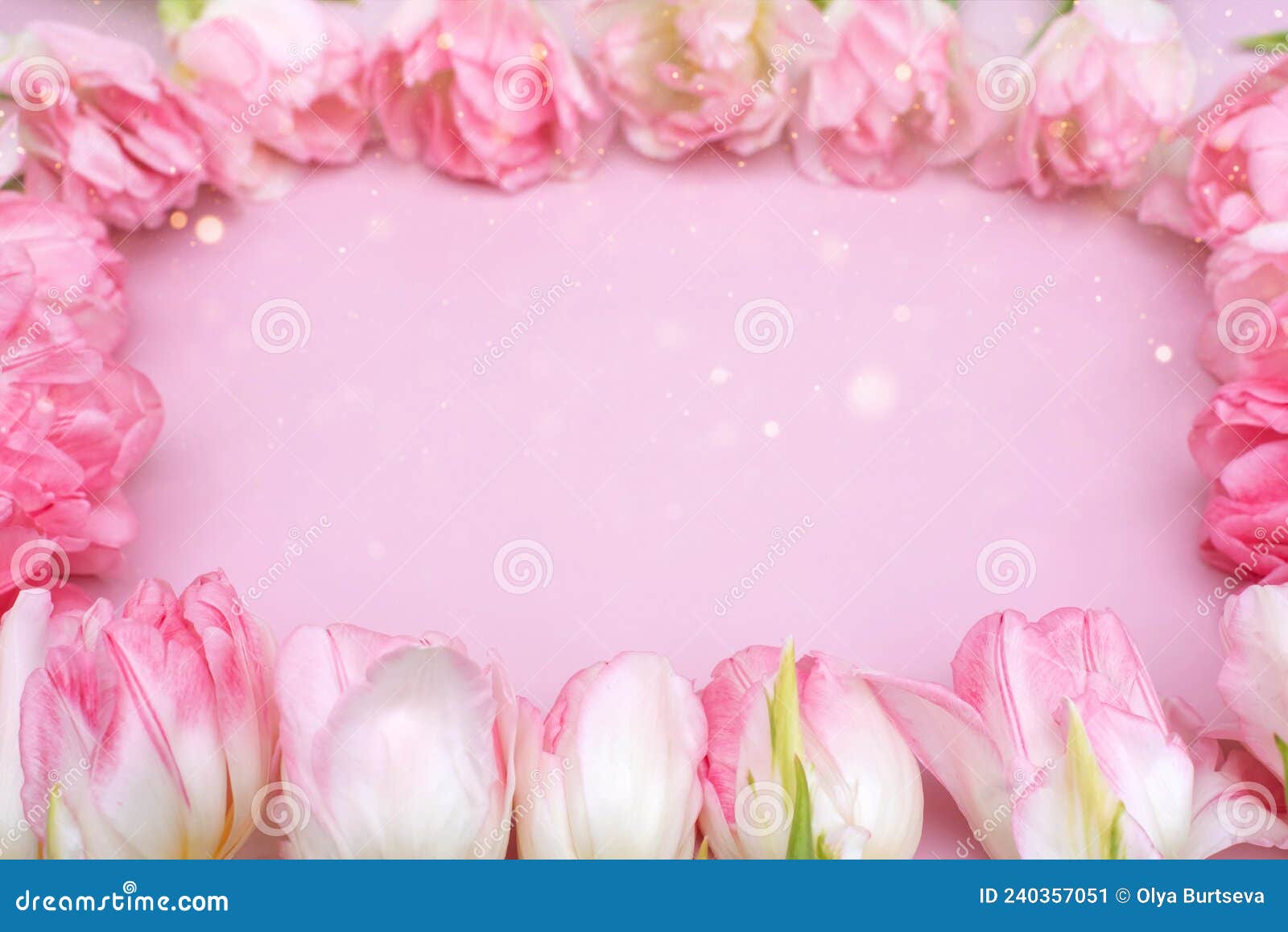 Creative Spring Background Composition Colorful Flowers on Pink ...