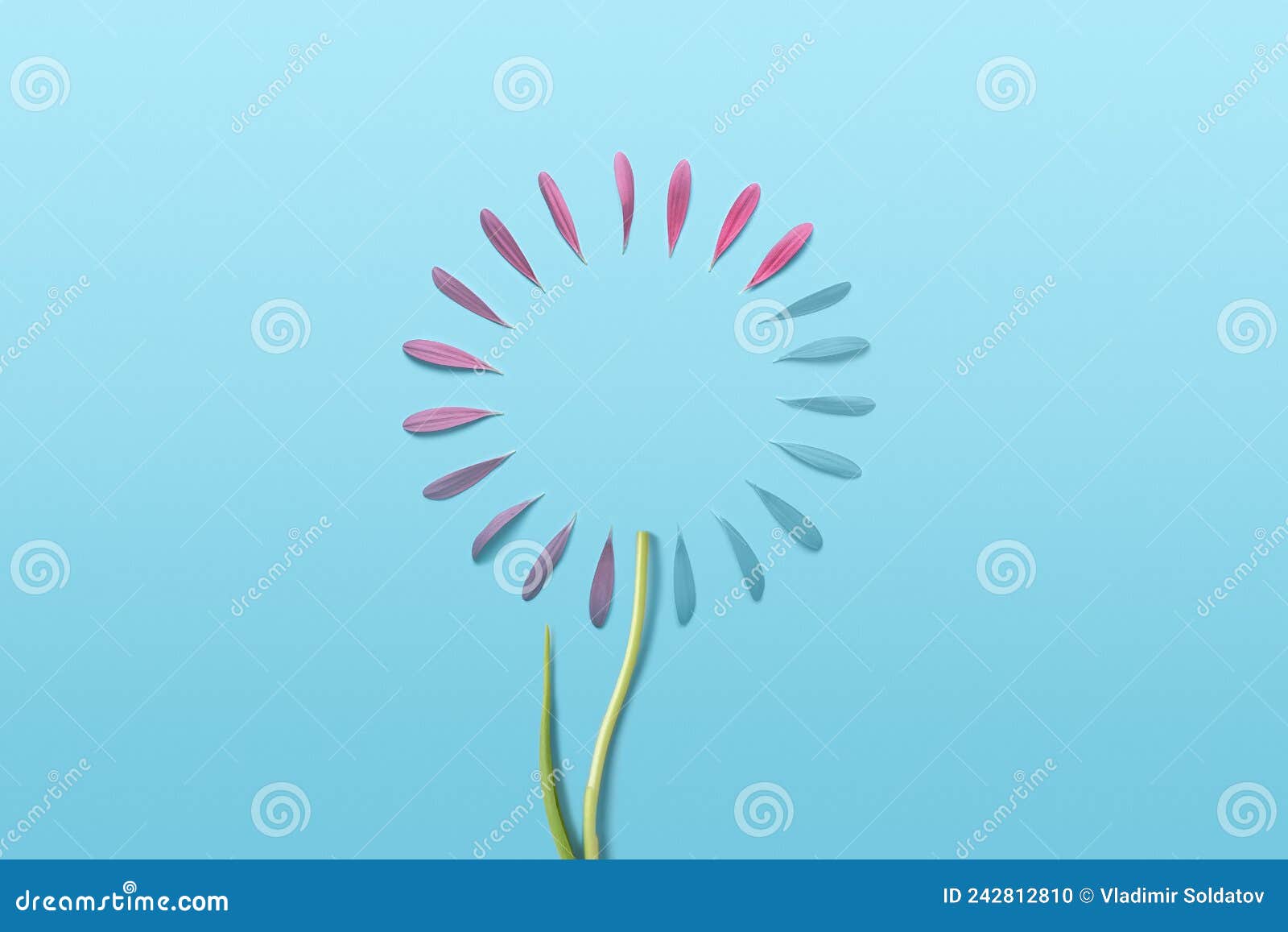 Creative Spring Concept Assembled from the Petals of a Flower in the ...