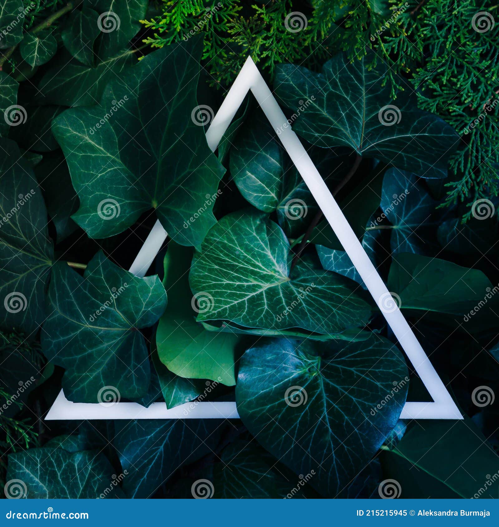 Creative Spring or Summer Layout Made with Natural Green Leaves ...