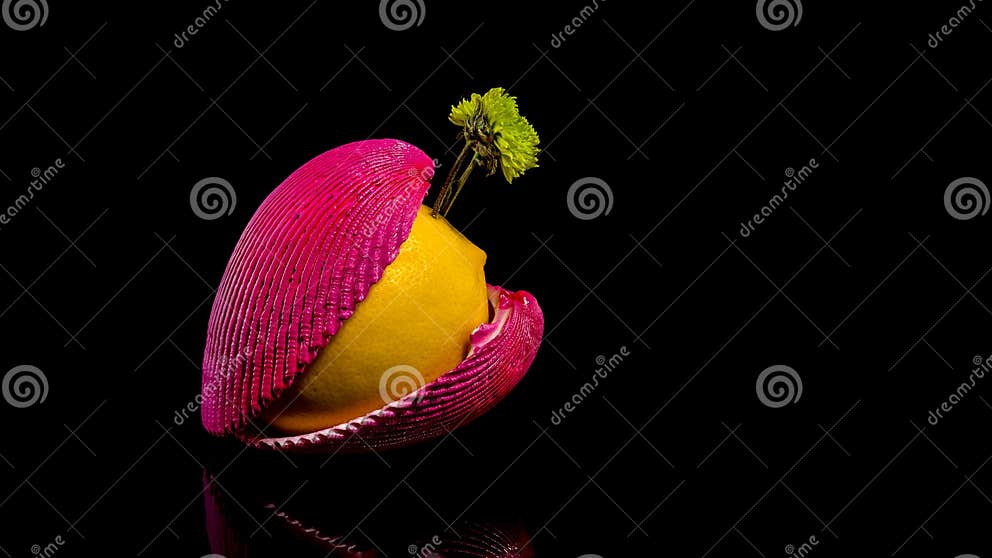 Composition with Lemon and Shells on a Black Background Stock Image ...