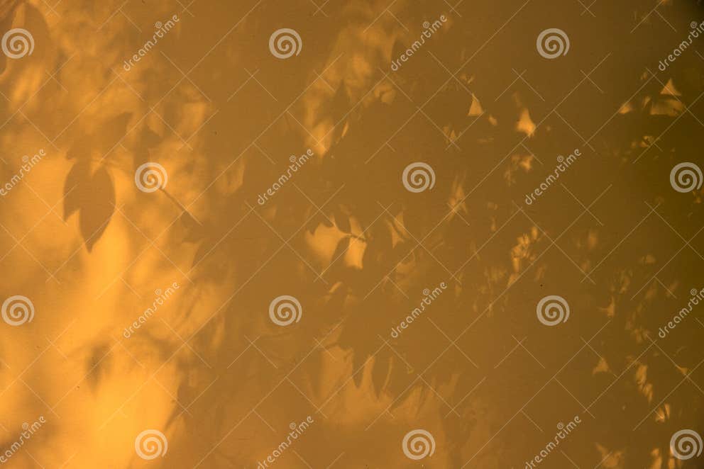 Creative Tropical Leaf Shadow on Yellow Wall Background. Minimal Summer ...
