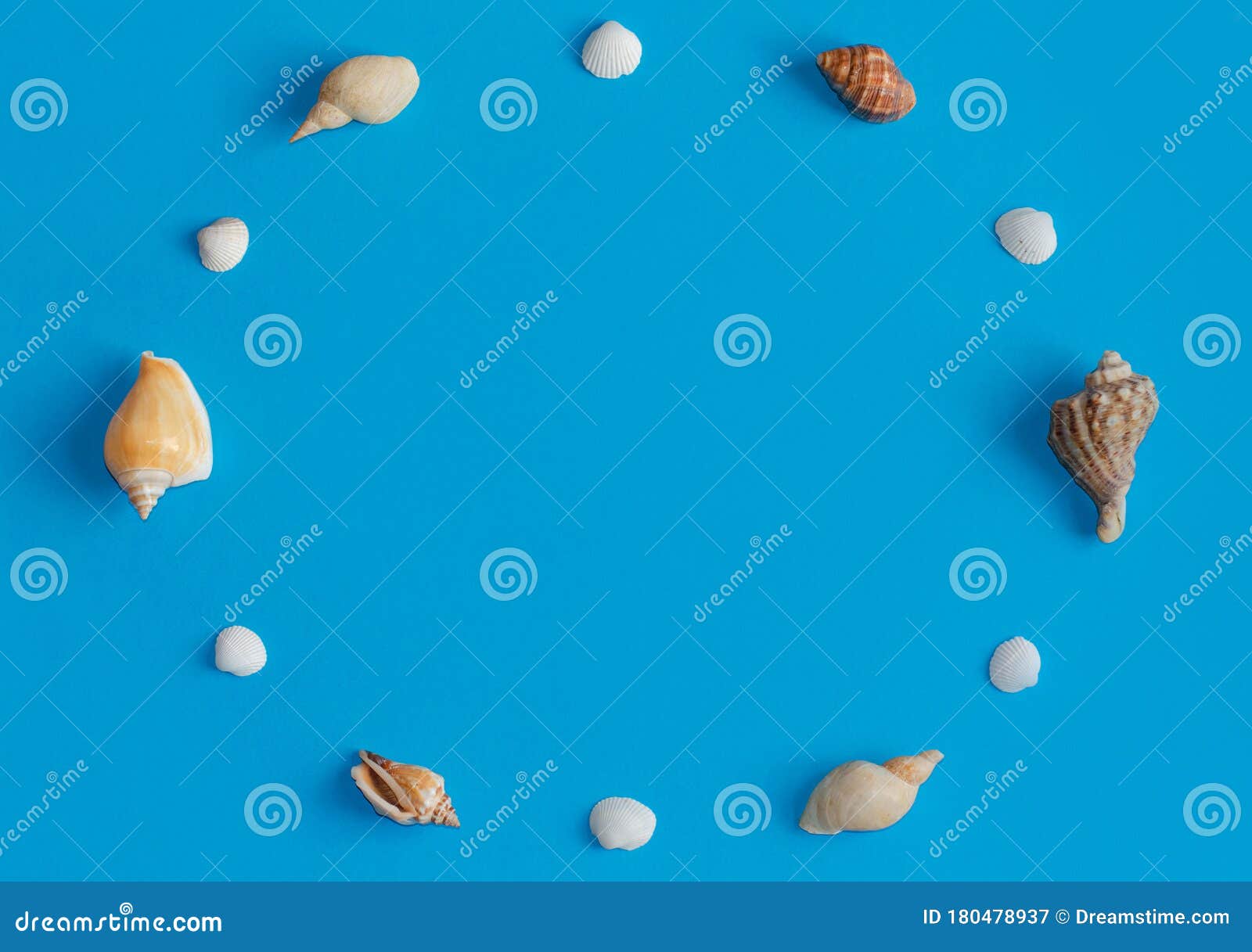 Creative Various Seashell Pattern on Pastel Blue Background with Copy ...