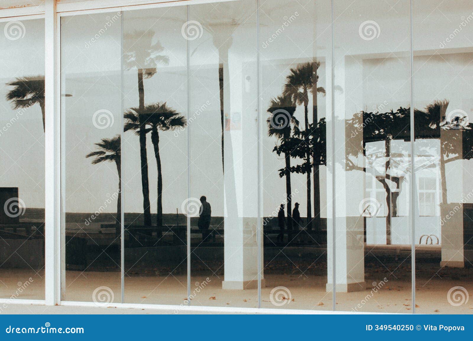 Creative Wallpaper with Reflection of Palm Trees in a Panoramic Window ...