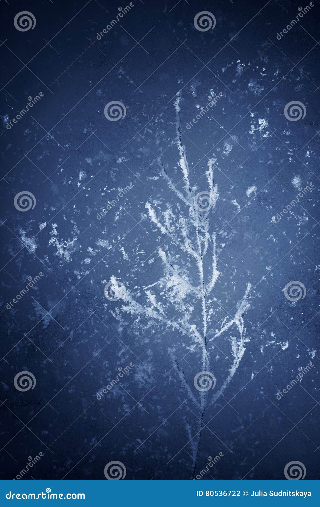 Creative Winter Background of Plants in the Snow and Frost on Blue Ice ...