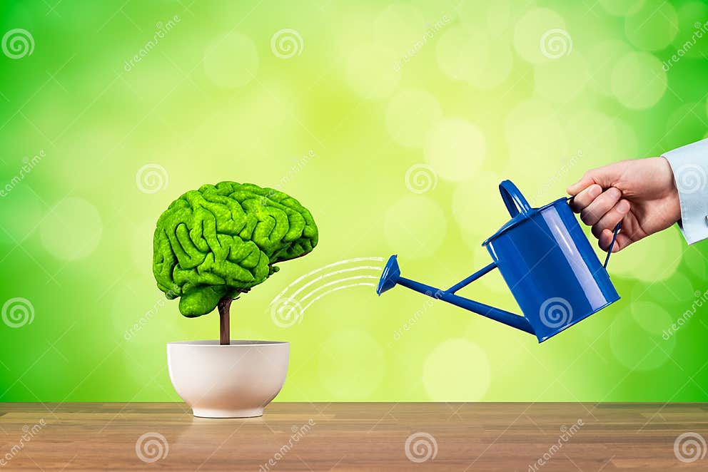 Creativity and Brain Function Growth Stock Photo - Image of improvement ...