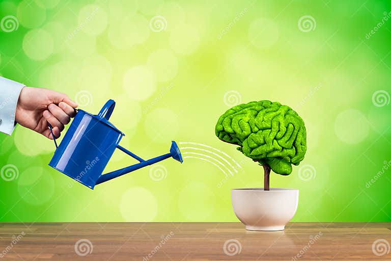 Creativity and Brain Function Growth Stock Image - Image of cultivate ...