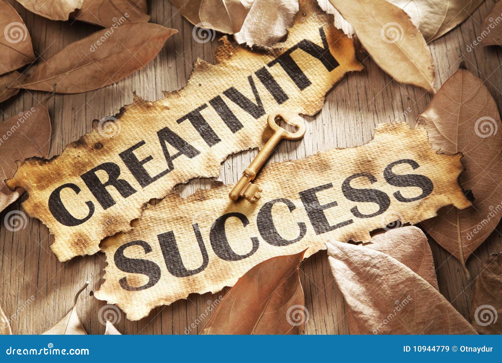 Creativity is Key To Success Concept Stock Image - Image of leaf ...