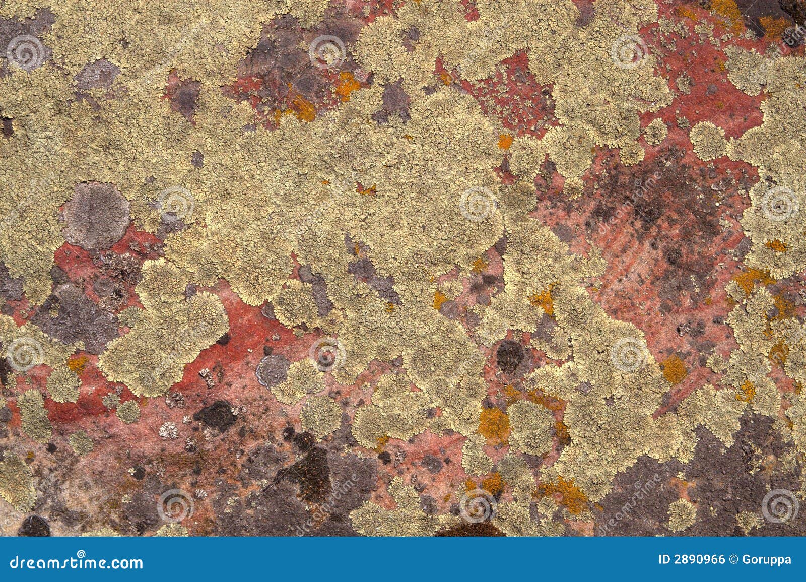 Creativity of the nature! stock photo. Image of mountain - 2890966