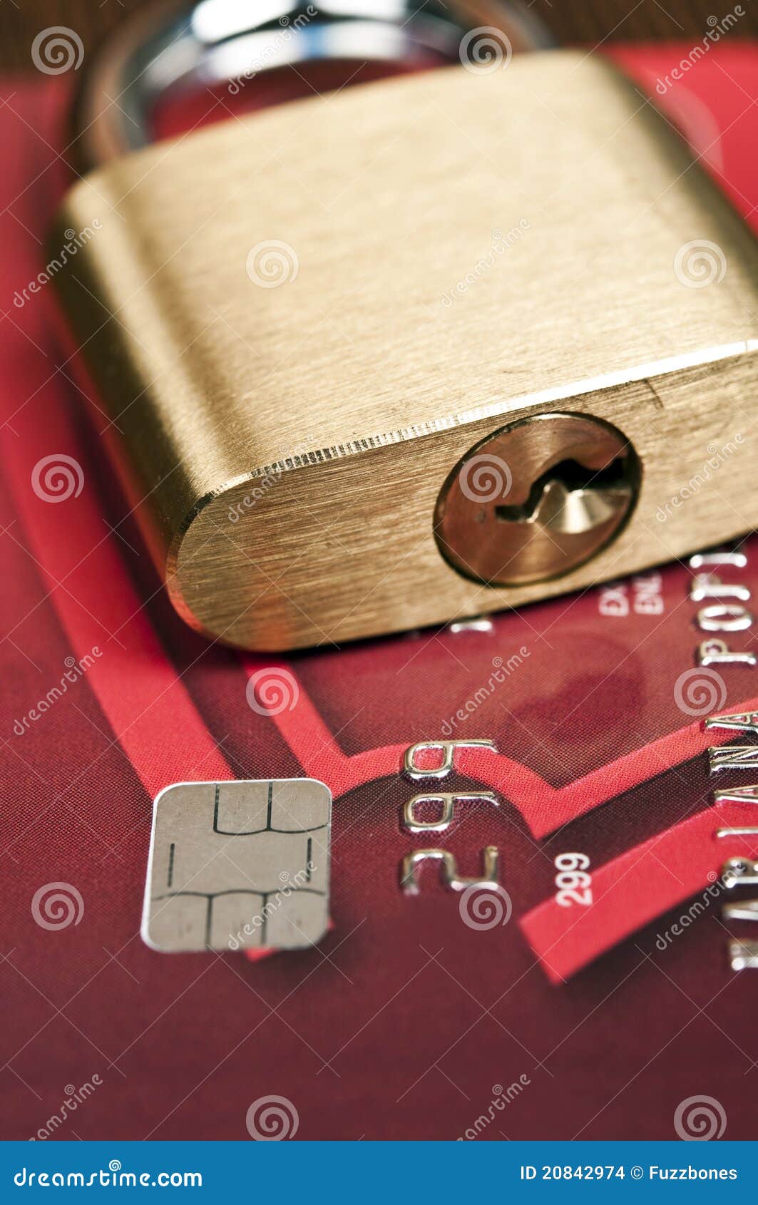 Credit card stock photo. Image of closeup, purchase, card - 20842974