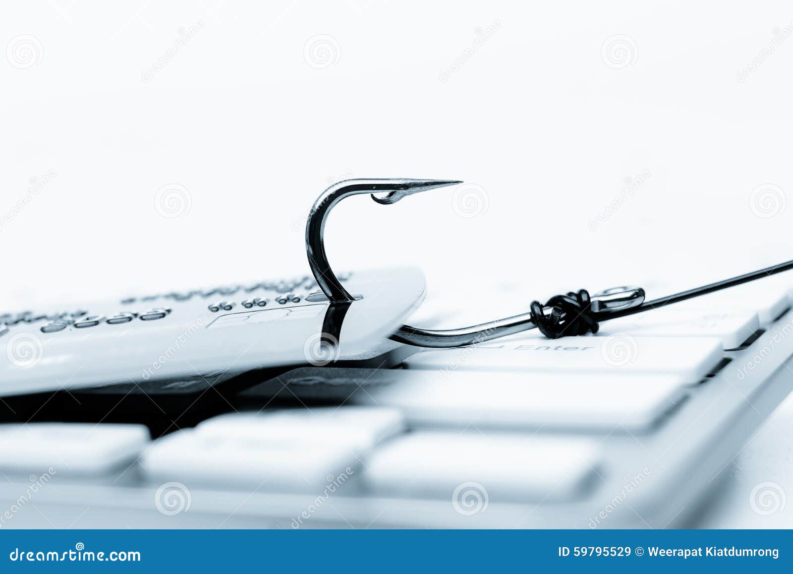 Credit Card Phishing Attack Stock Image - Image of fish, crime: 59795529