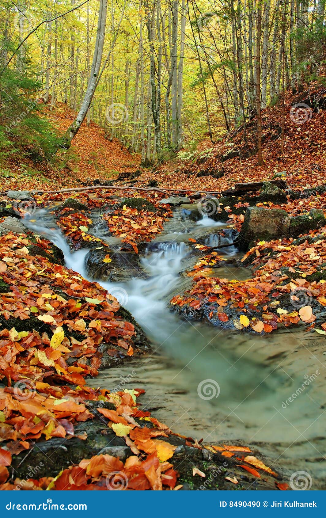 Creek in autumn stock photo. Image of rocks, beautiful - 8490490