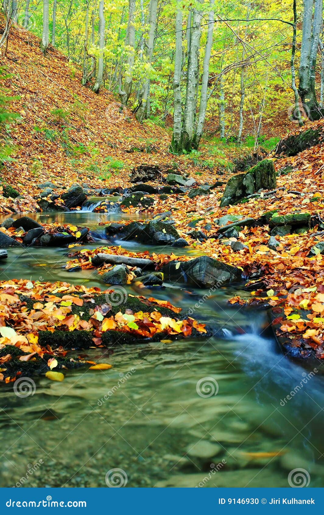 Creek in autumn stock photo. Image of cascade, leaf, nature - 9146930