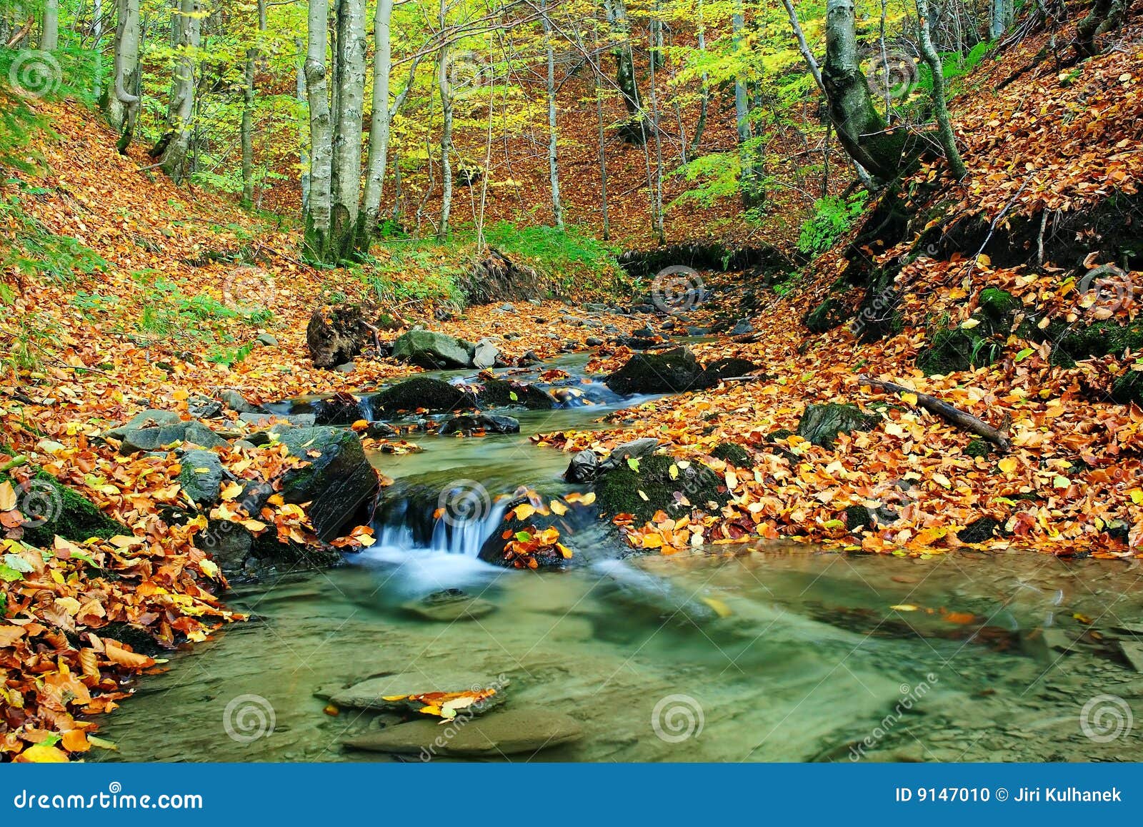Creek in autumn stock photo. Image of poloniny, relaxing - 9147010