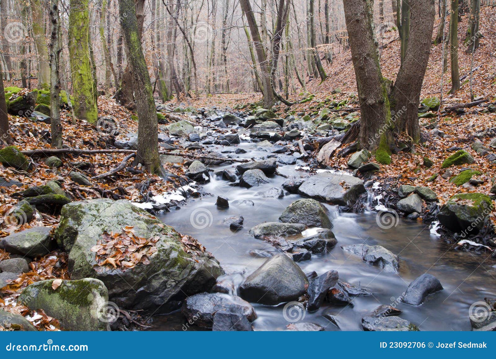 Creek in autumn forest stock photo. Image of fall, landscape - 23092706