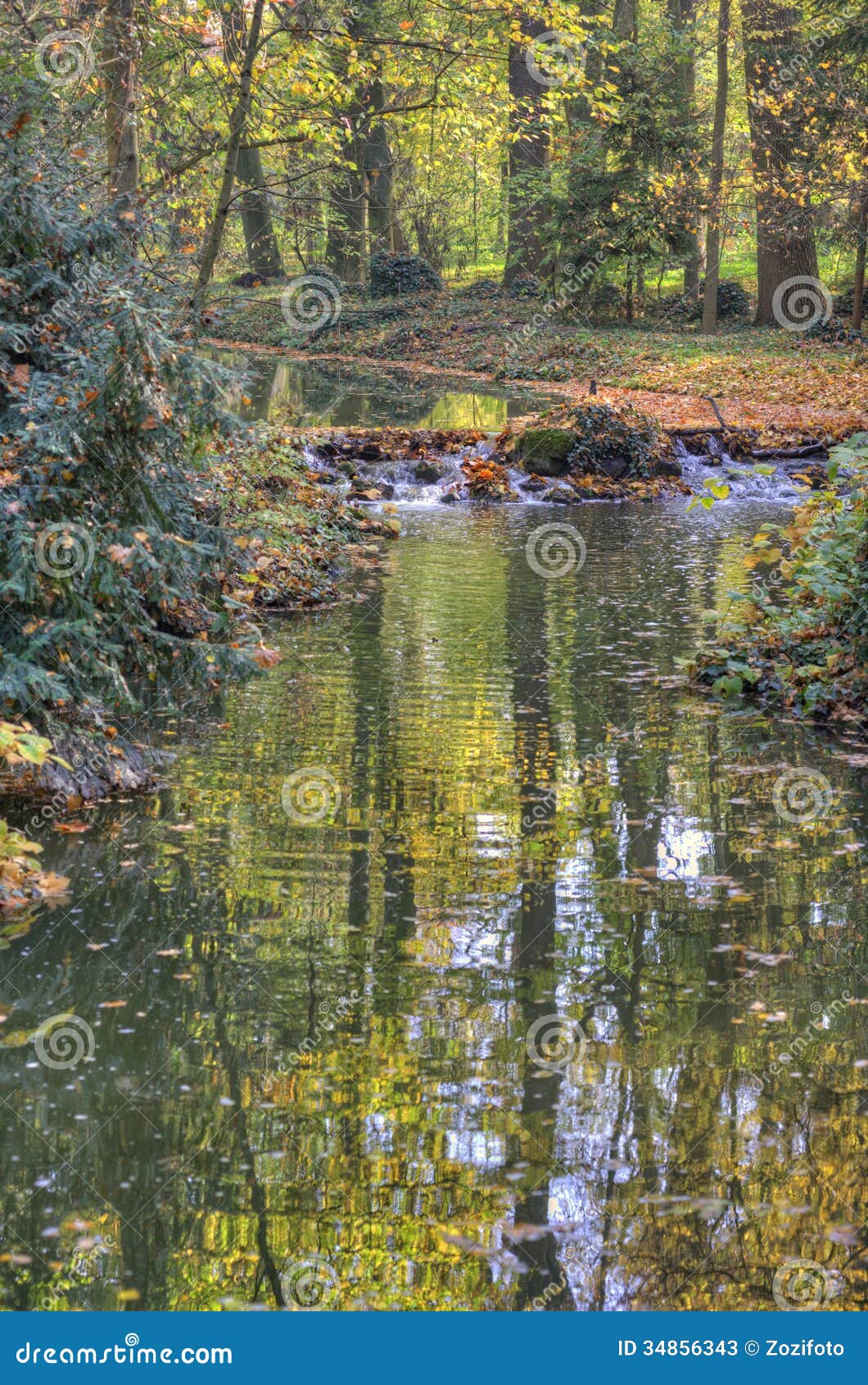 Creek in autumn forest stock image. Image of autumn, relax - 34856343