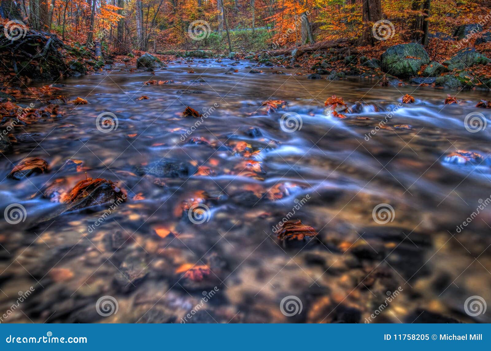 Creek in Autumn Season stock image. Image of flowing - 11758205