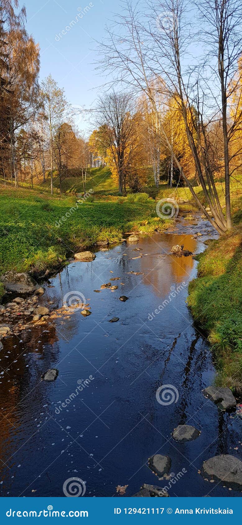 Creek and autumn trees stock image. Image of landscape - 129421117 Creek and autumn trees stock image. Image of landscape - 129421117