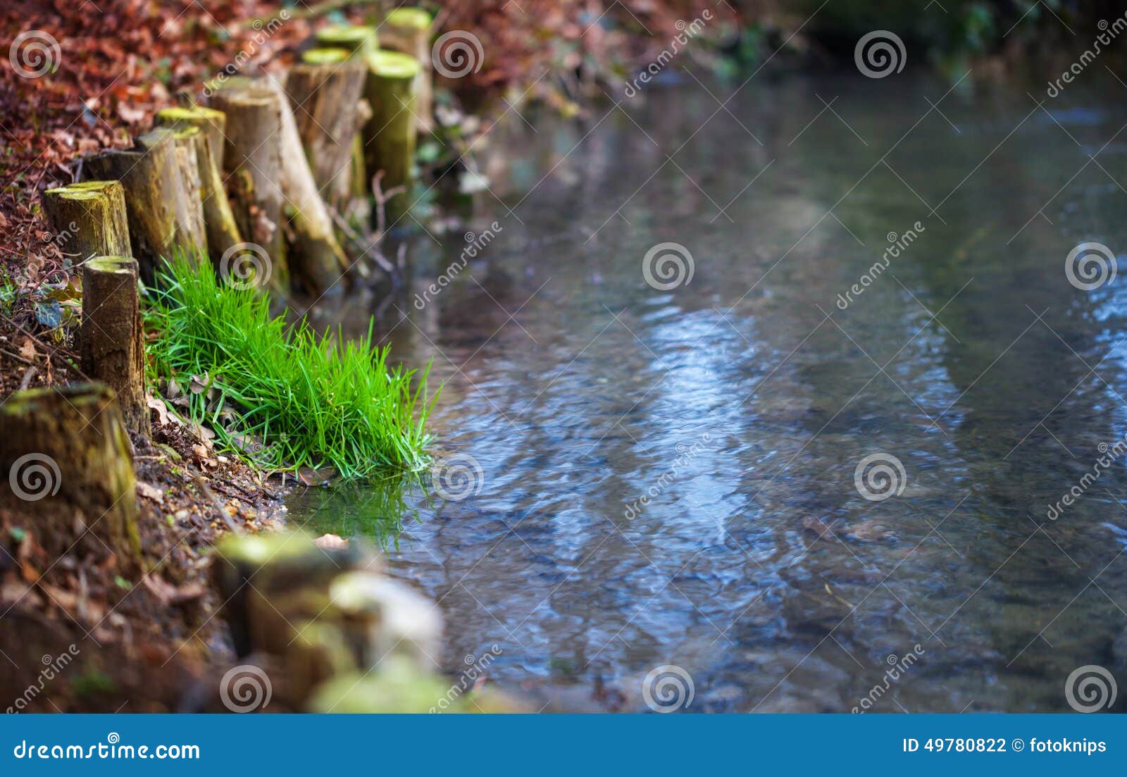 Creek, bank reinforcement stock photo. Image of foliage - 49780822