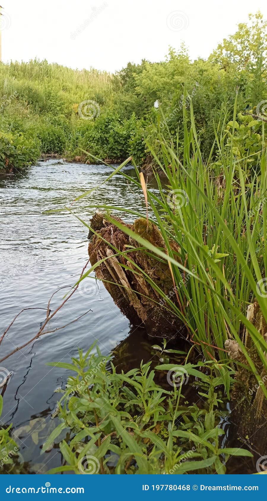 Creek behind the village stock photo. Image of nature - 197780468