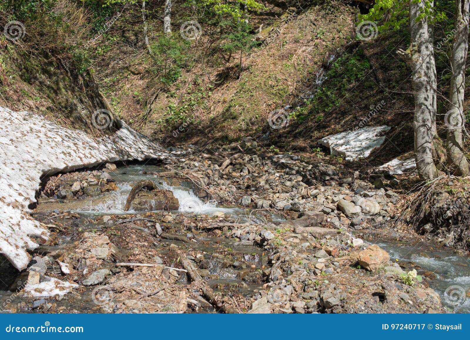 The Creek at the Bottom of the Ravine. Stock Image - Image of flow ...