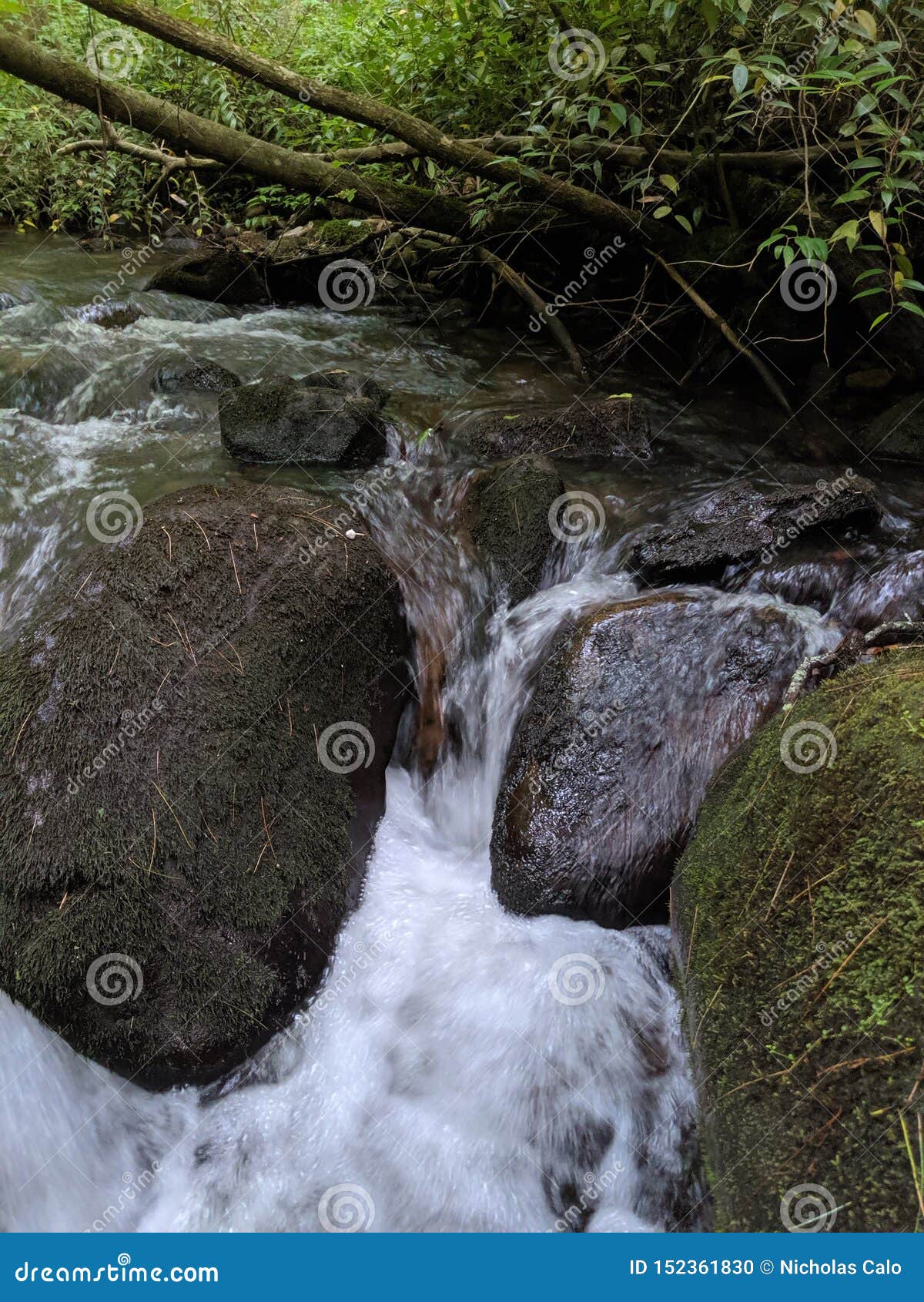 Creek cleaned stones stock photo. Image of whitewater - 152361830