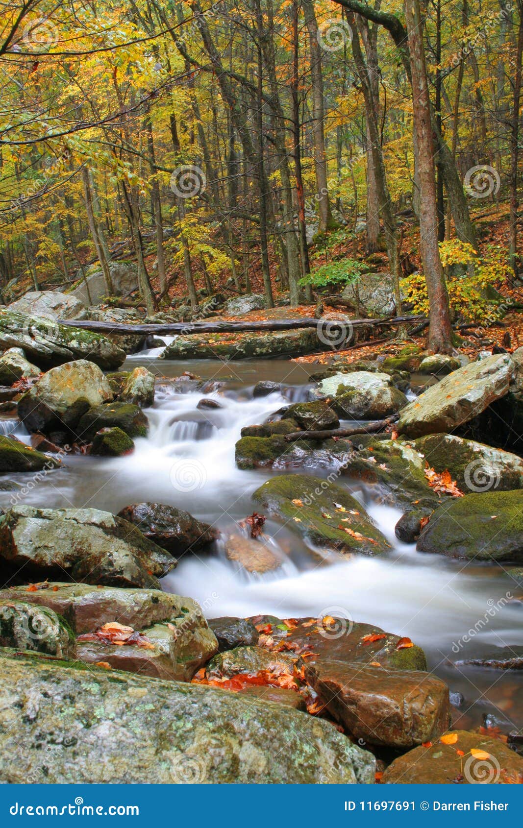 Creek during Fall stock image. Image of green, silky - 11697691