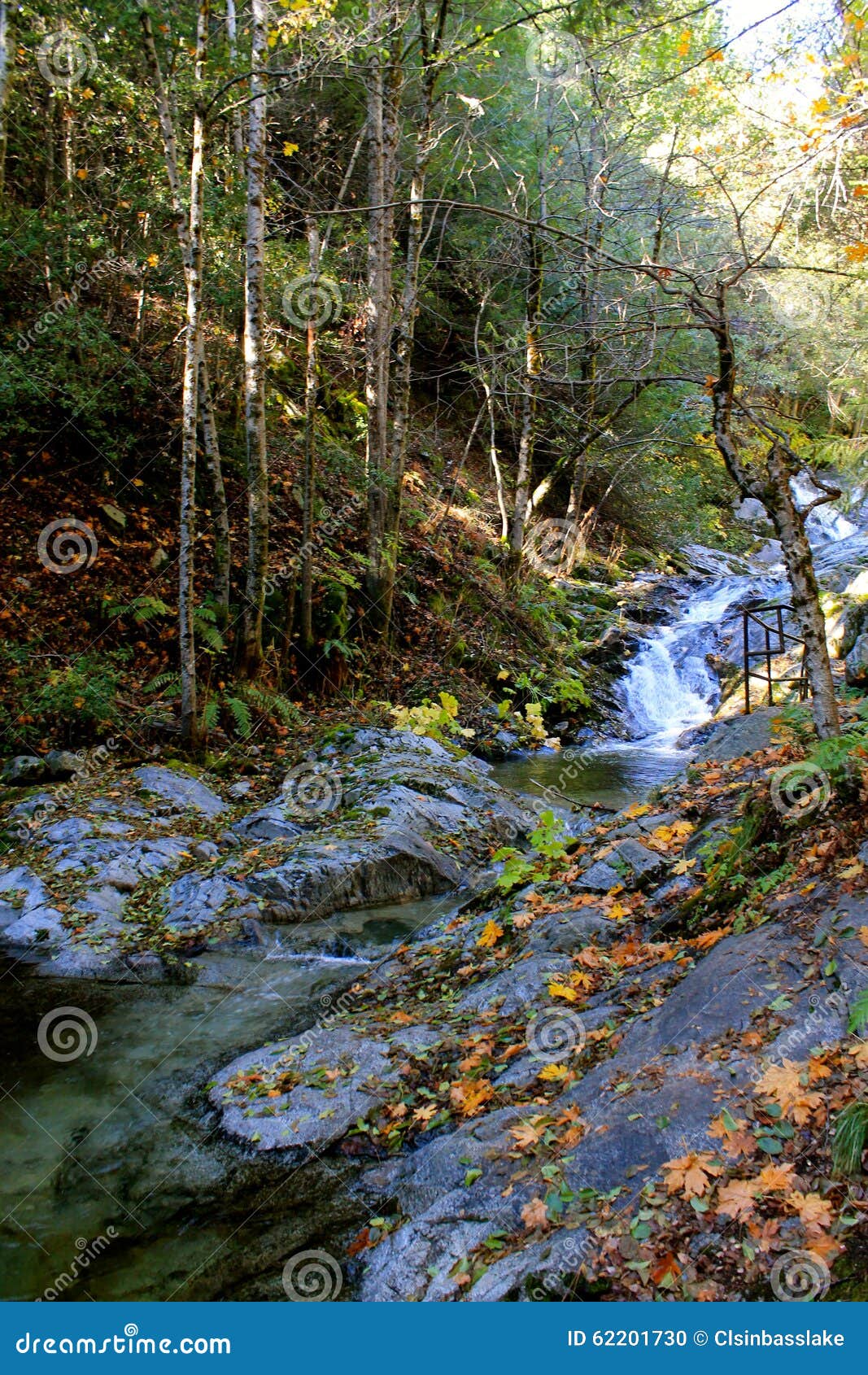 Creek in the fall stock photo. Image of flowing, natural - 62201730