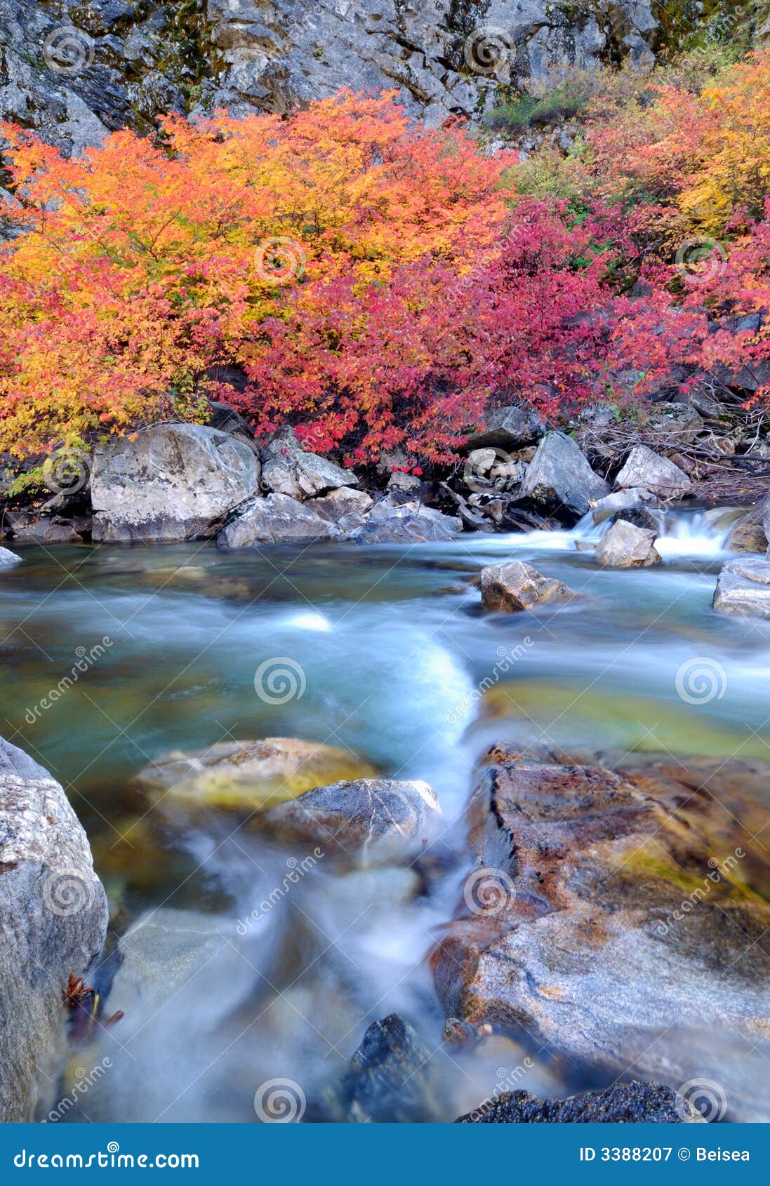 Creek in Fall Glory stock image. Image of reflection, cascade - 3388207