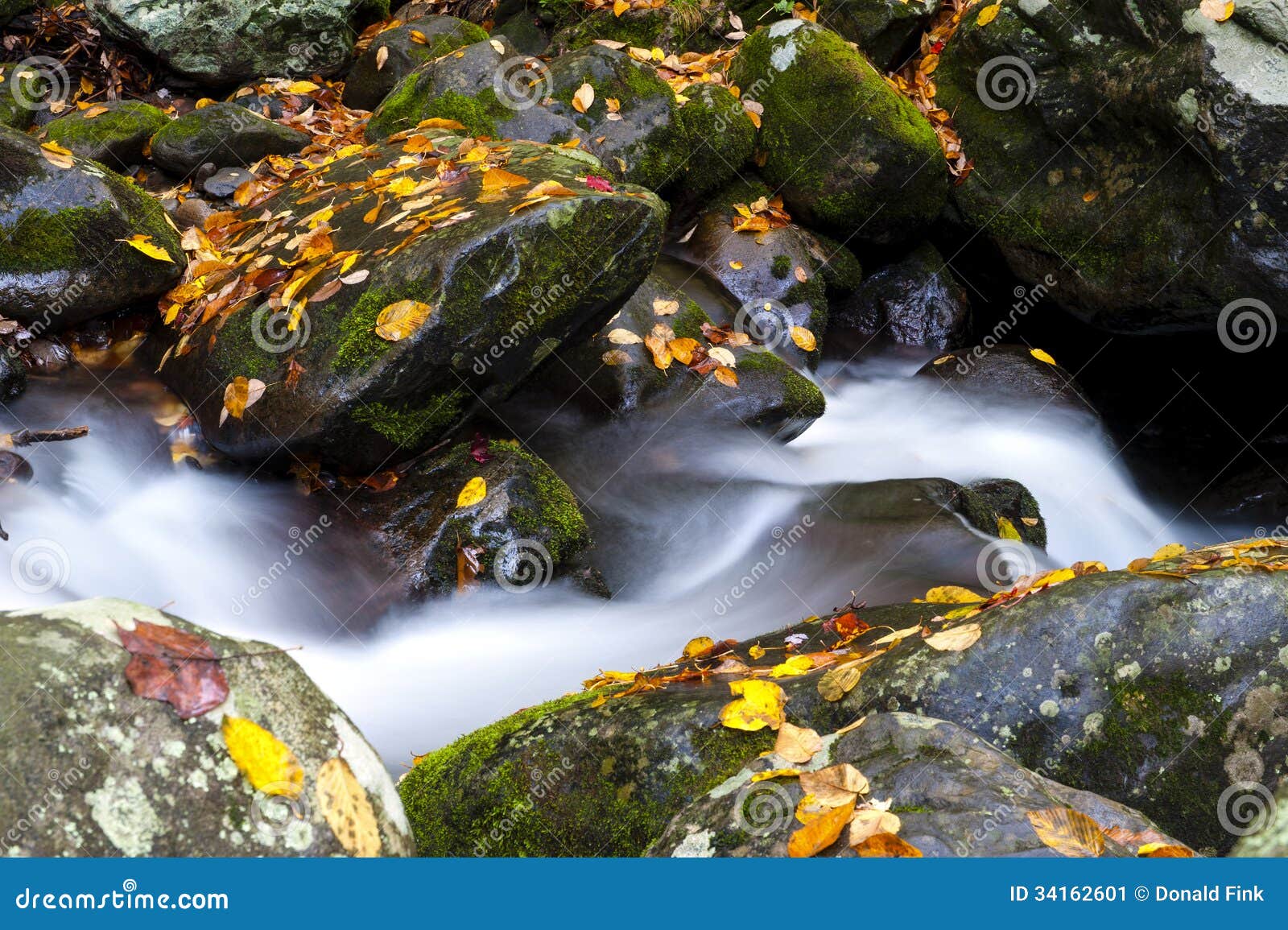 Creek in Fall stock image. Image of waterfall, yellow - 34162601