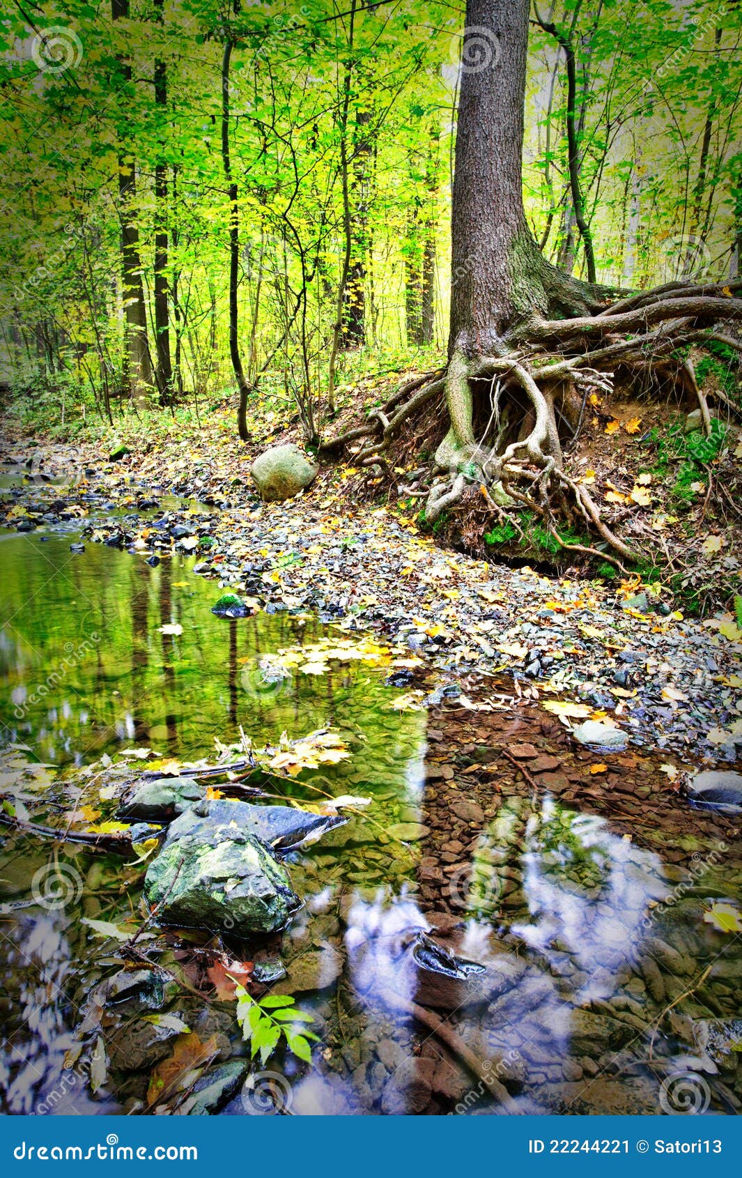Creek in fall time stock image. Image of landscape, holiday - 22244221