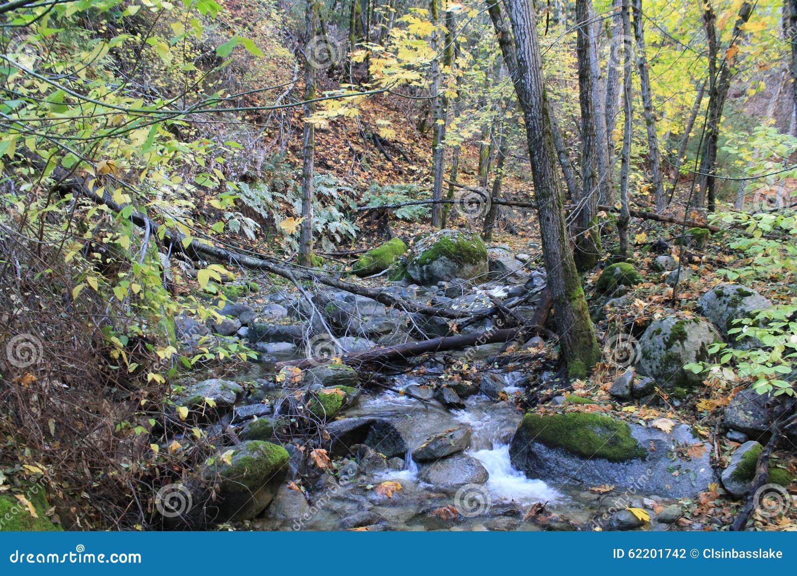 Creek in the fall stock photo. Image of crick, nature - 62201742
