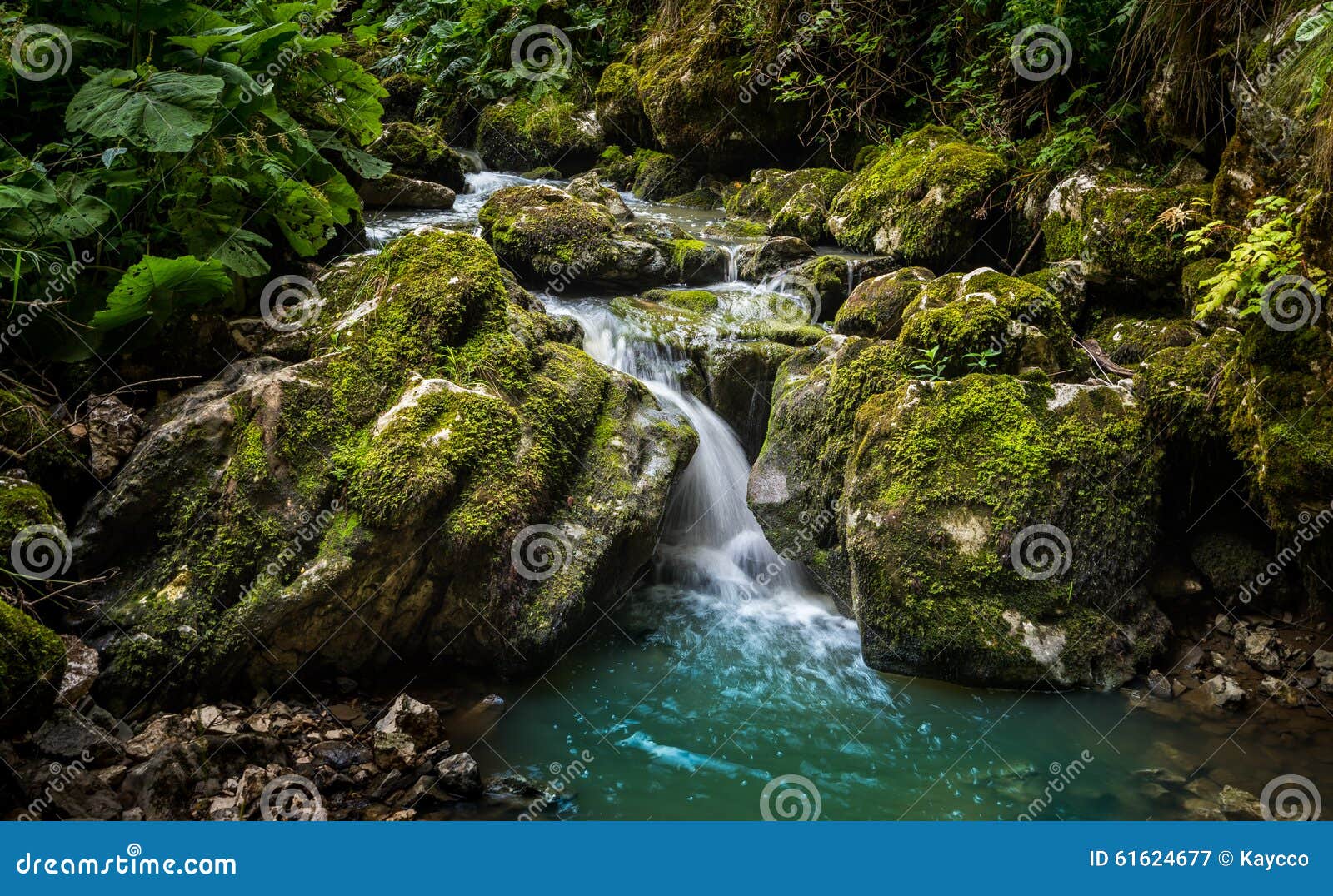 Creek Flowing stock image. Image of natural, creek, green - 61624677