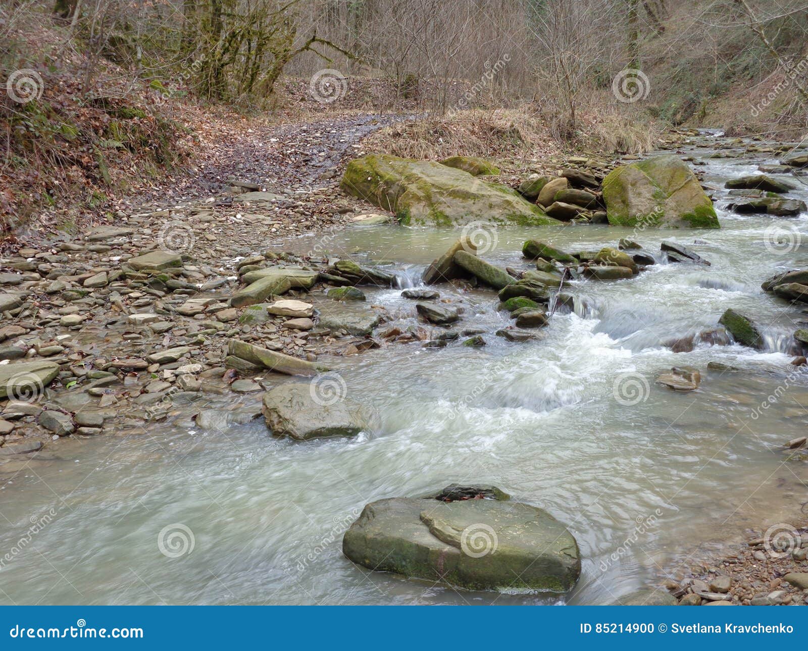 Creek Flowing among Large Stones Stock Photo - Image of forest, walk ...