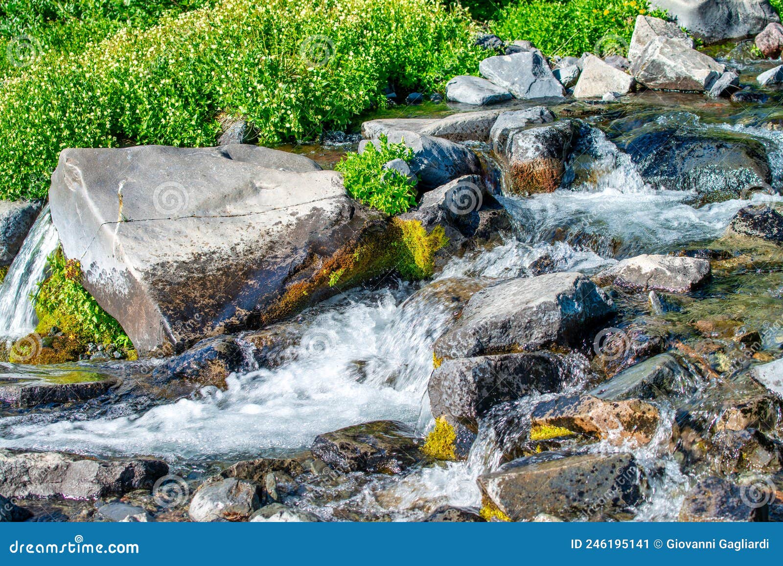 Creek Flowing Waters Along a National Park Stock Image - Image of ...