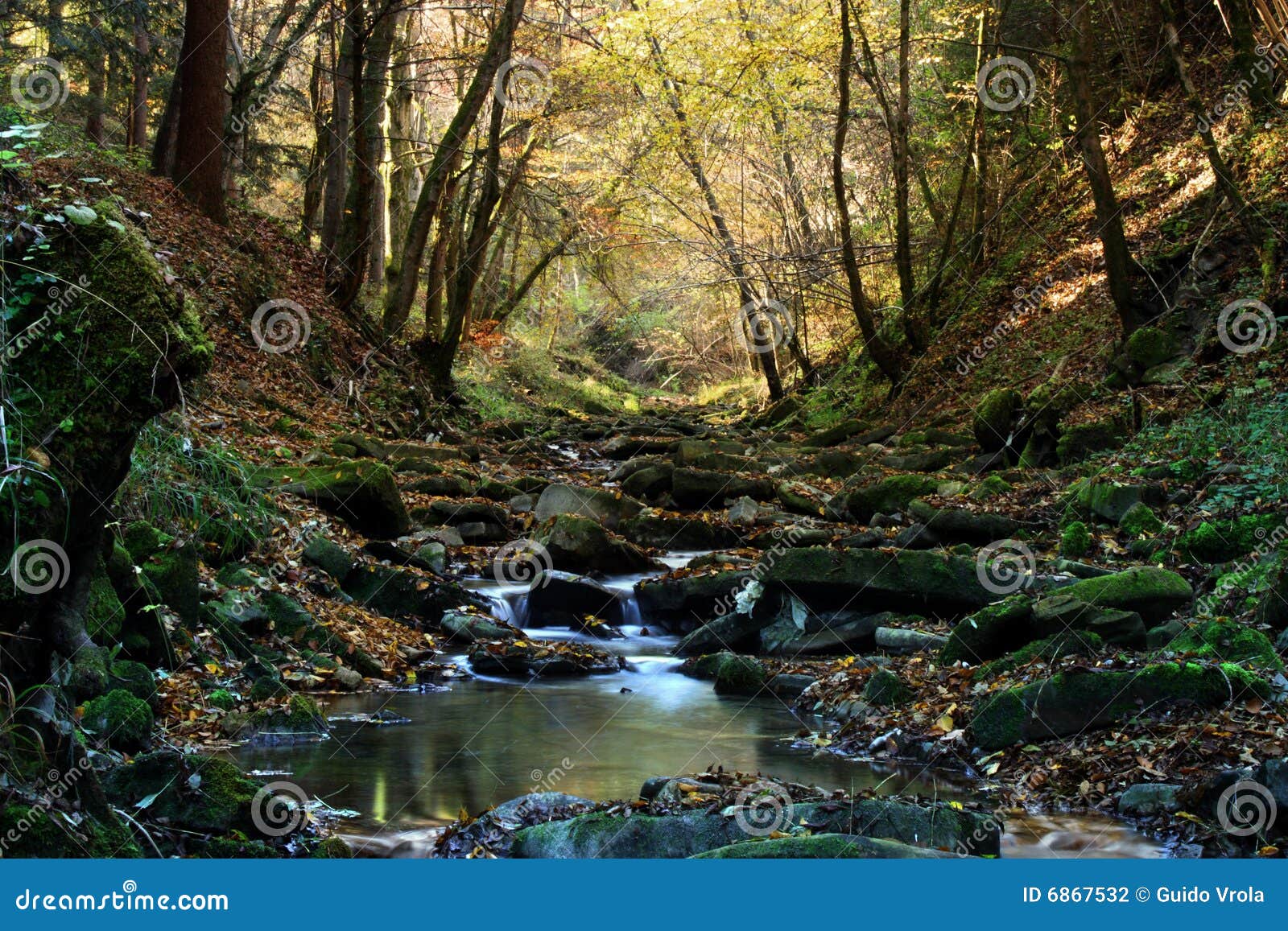 Creek in the forest stock photo. Image of mountain, rock - 6867532