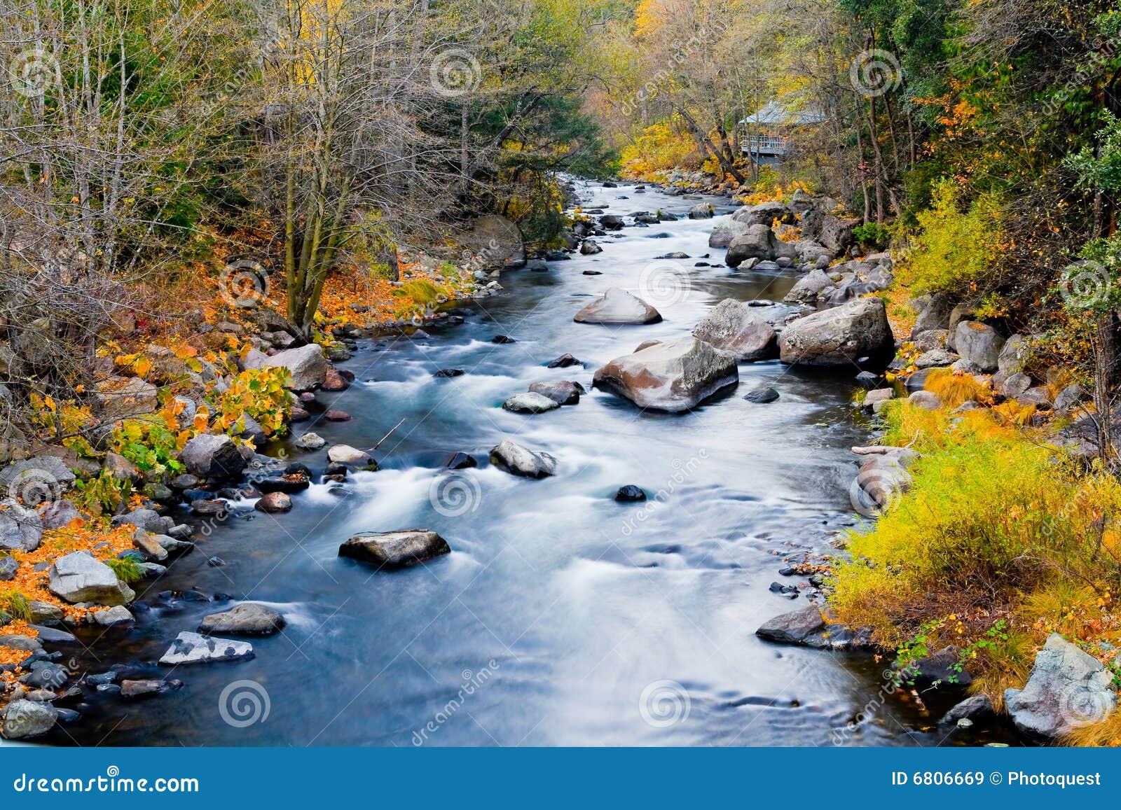 Creek in the Forest in Autumn Stock Image - Image of garden, freshness ...