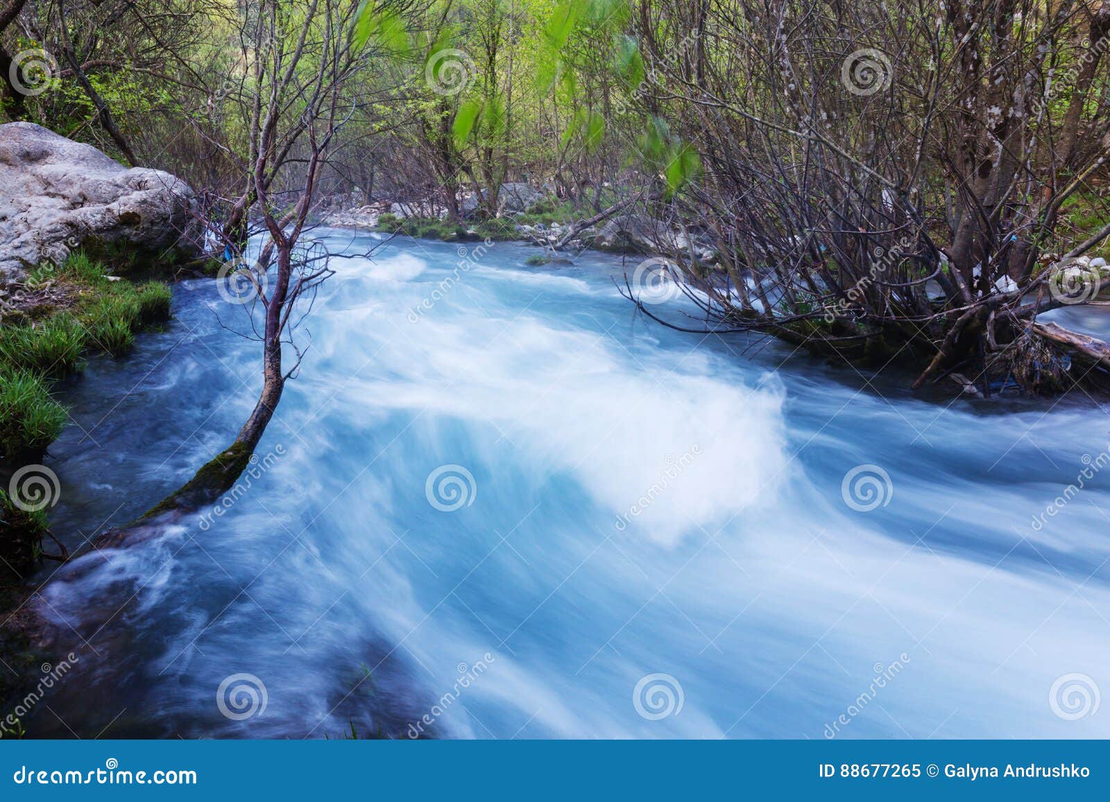 Creek in the forest stock image. Image of forest, creek - 88677265