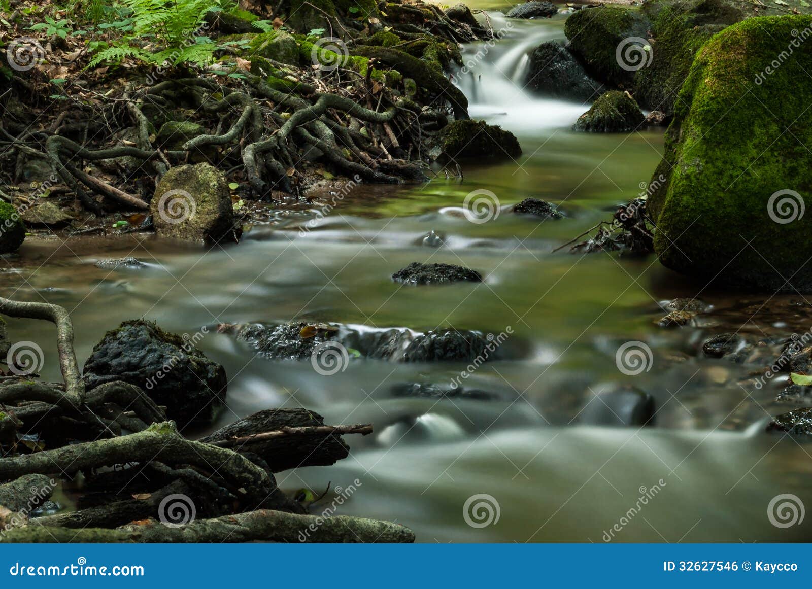 Creek in the forest stock photo. Image of rock, creek - 32627546