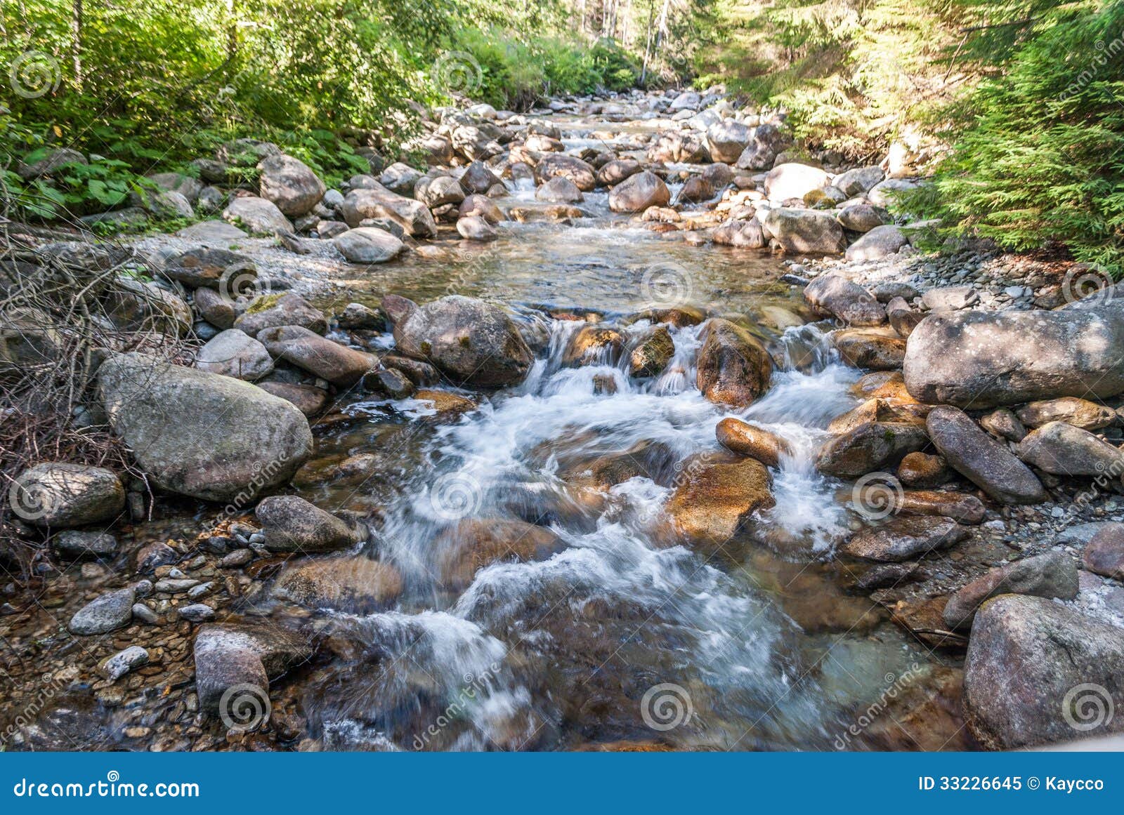 Creek in the forest stock image. Image of rural, tranquility - 33226645