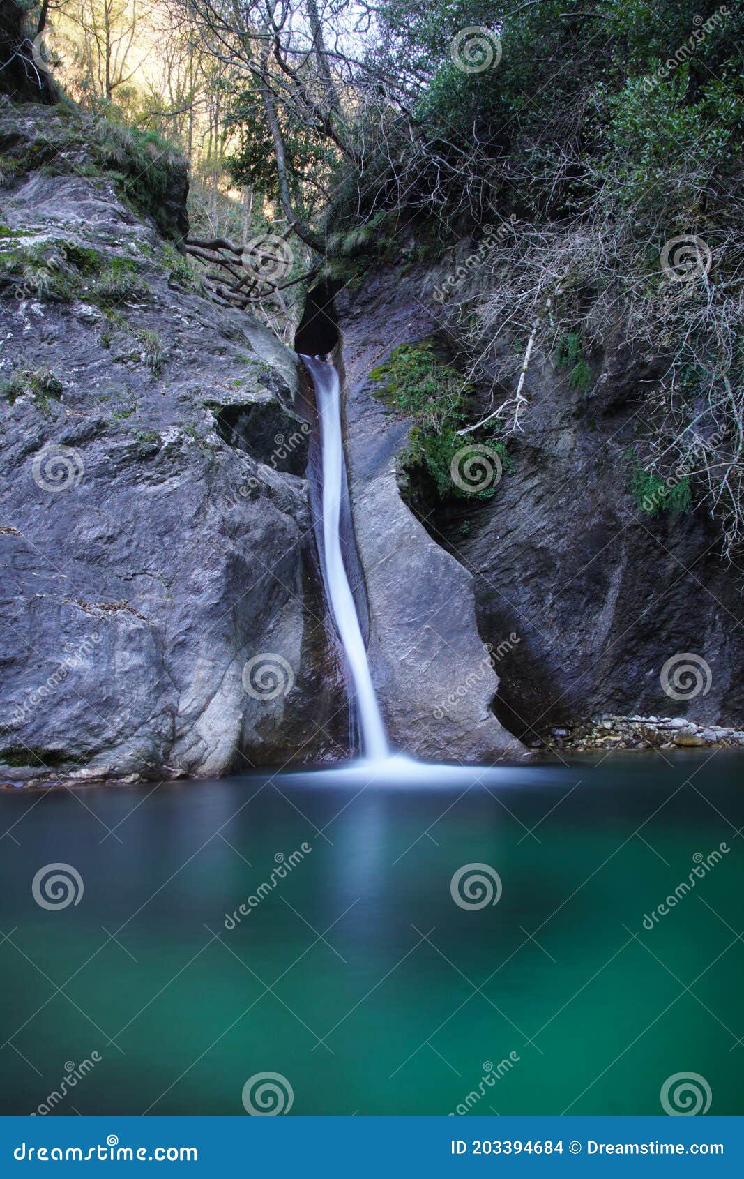 Creek in the Forest with Rocks Stock Photo - Image of versilia, creek ...