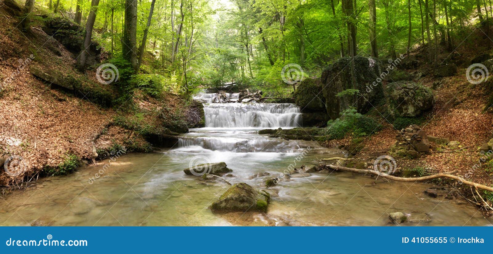 Creek in the forest stock image. Image of fresh, motion - 41055655