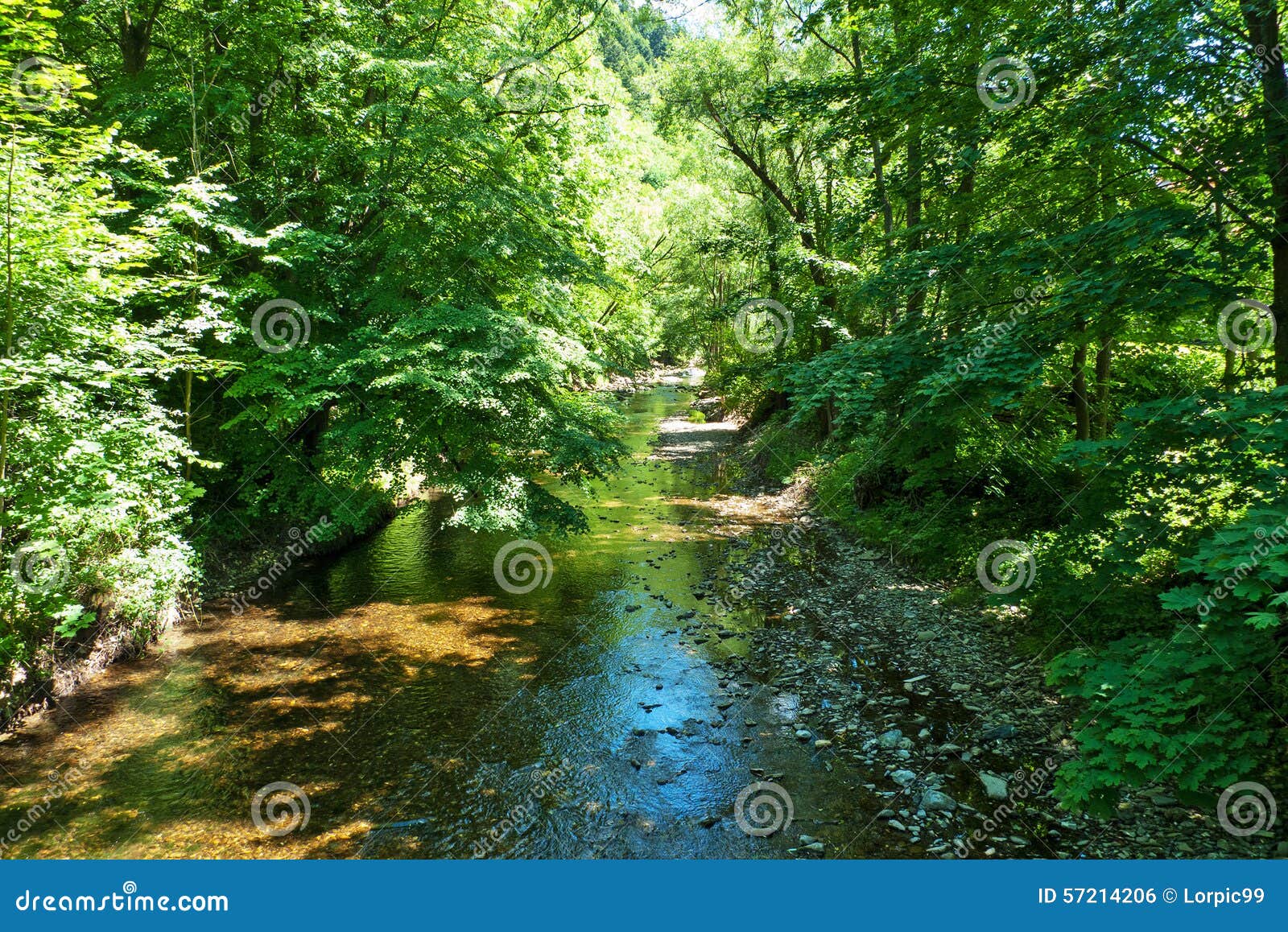 Creek stock photo. Image of europe, slovakia, forest - 57214206
