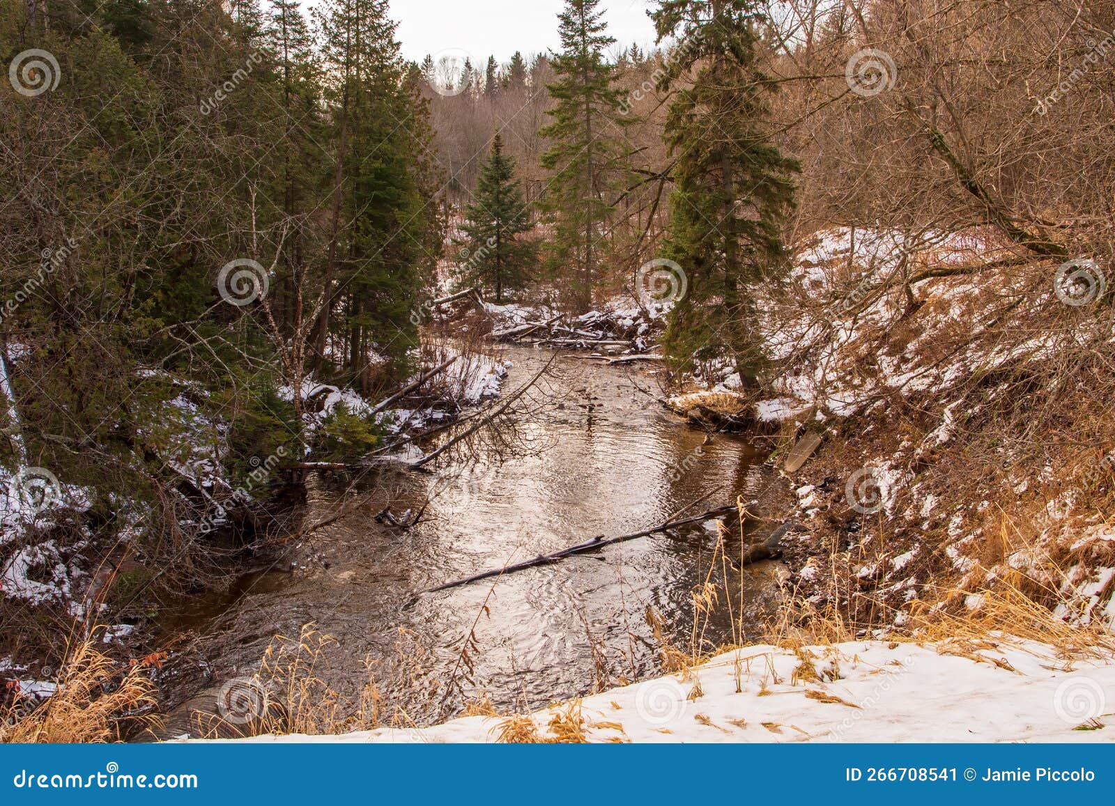 Creek in Heavy Bush with Melting Snow Stock Image - Image of snow ...
