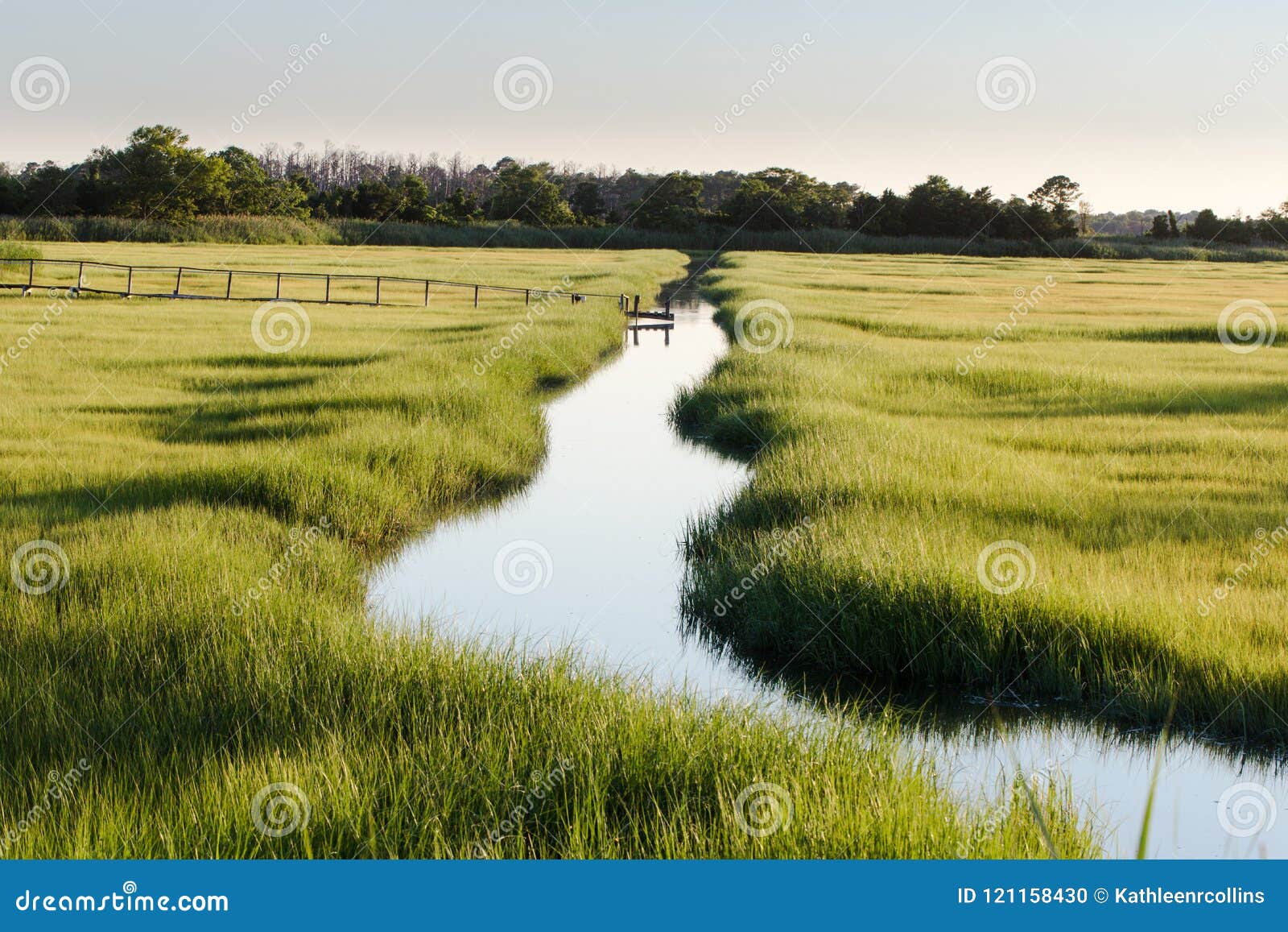 Creek and marshy field stock photo. Image of nature - 121158430