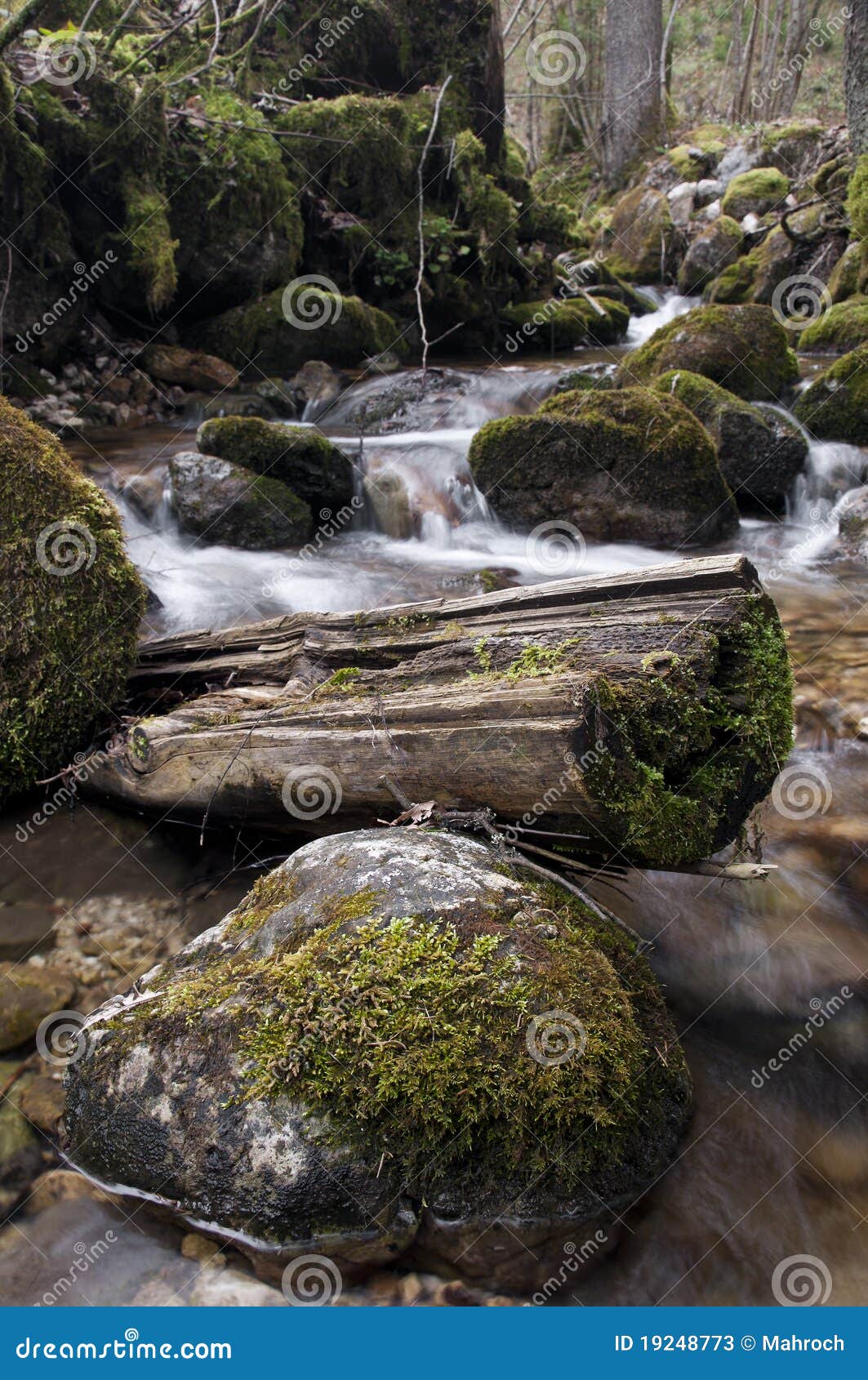Creek with mossy rocks stock image. Image of green, stream - 19248773